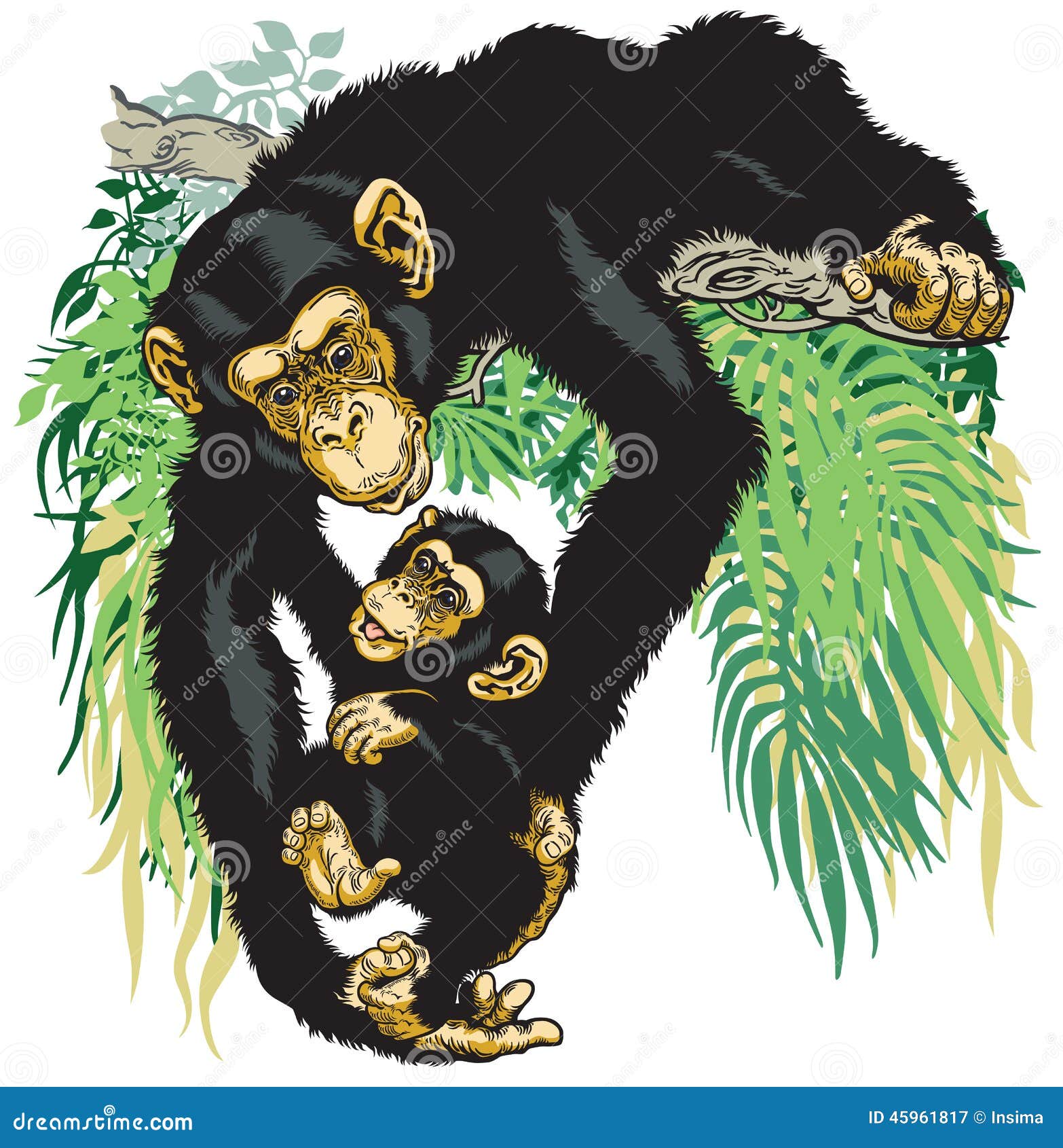 Baby Chimp Illustration | CartoonDealer.com #205873851
