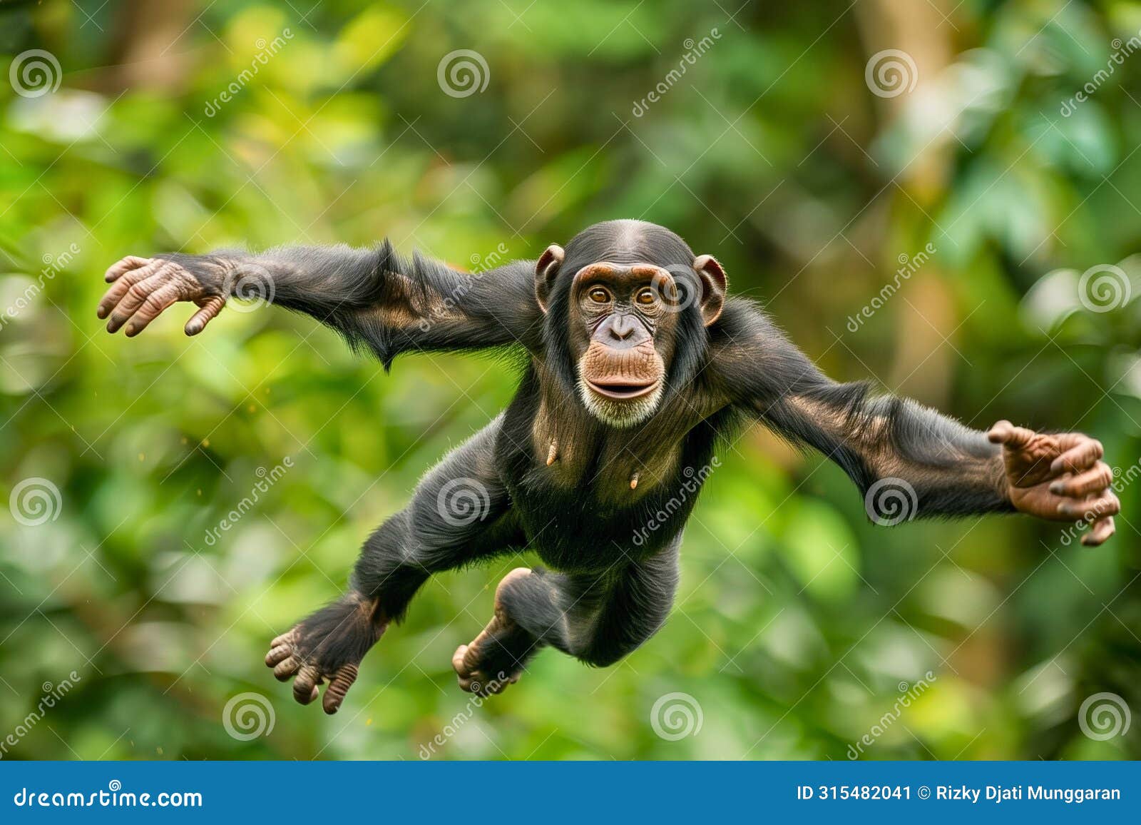 Chimpanzee in Mid-air, Navigating through Dense Jungle Trees. Dynamic ...
