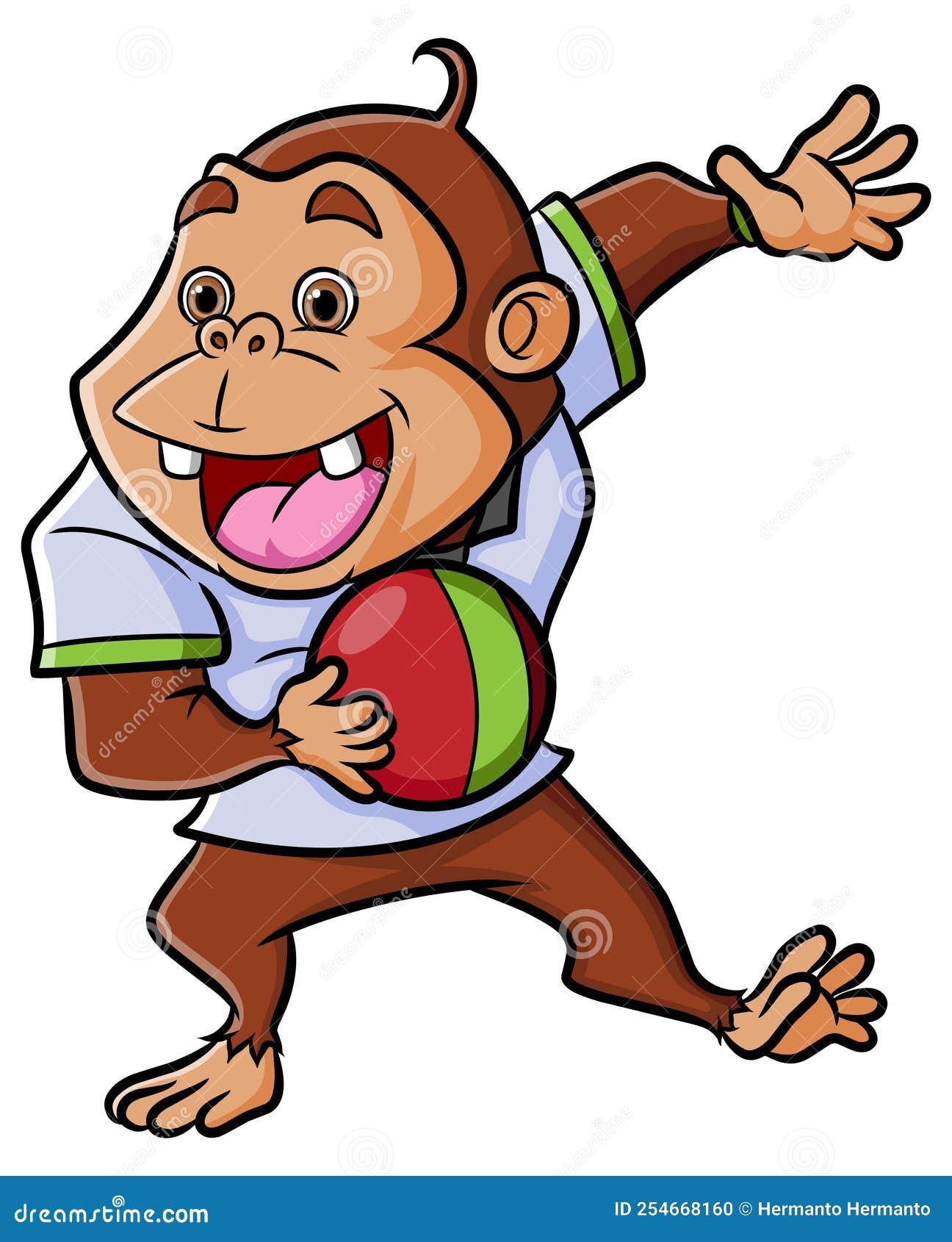 The Chimpanzee is Playing the Catching Ball and Holding the Ball Stock ...