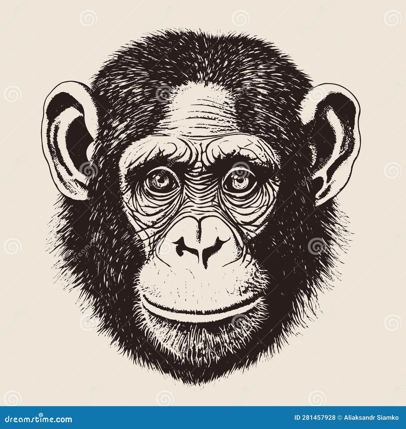 Chimpanzee Vector Drawing. Isolated Hand Drawn Object, Engraved Style ...