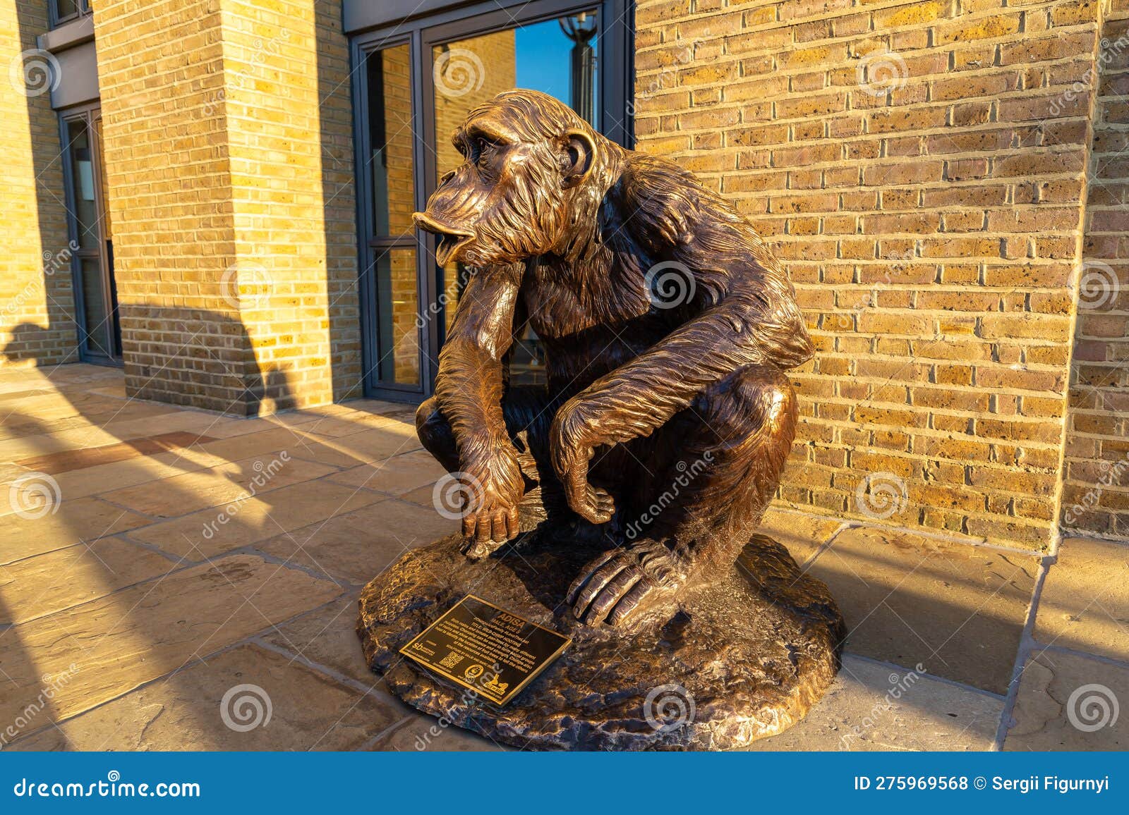 Chimps Monkey Statue at Sunset in London, UK Editorial Stock Photo ...