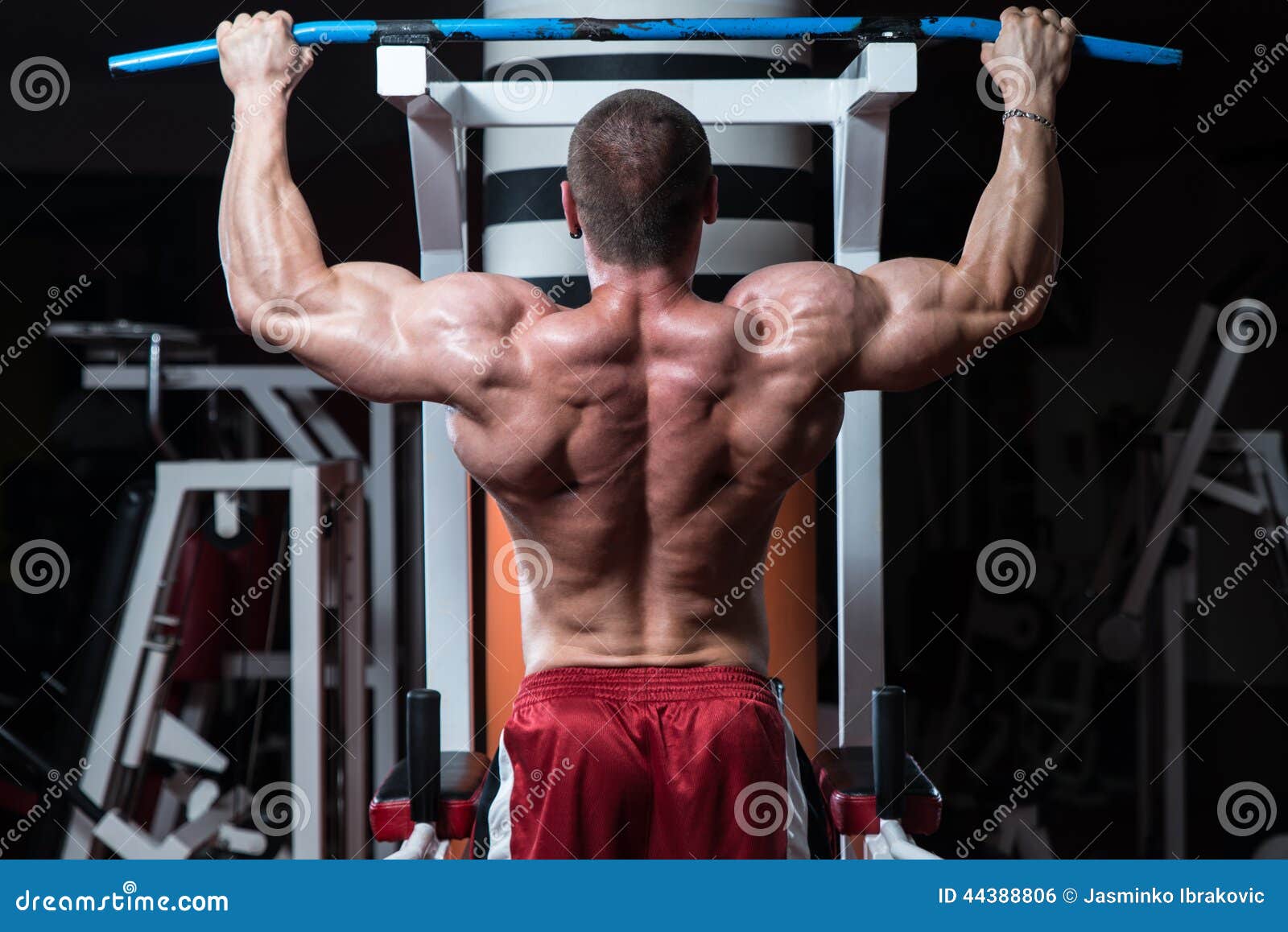 Chin Ups Exercise for Back stock photo. Image of athlete - 44388806