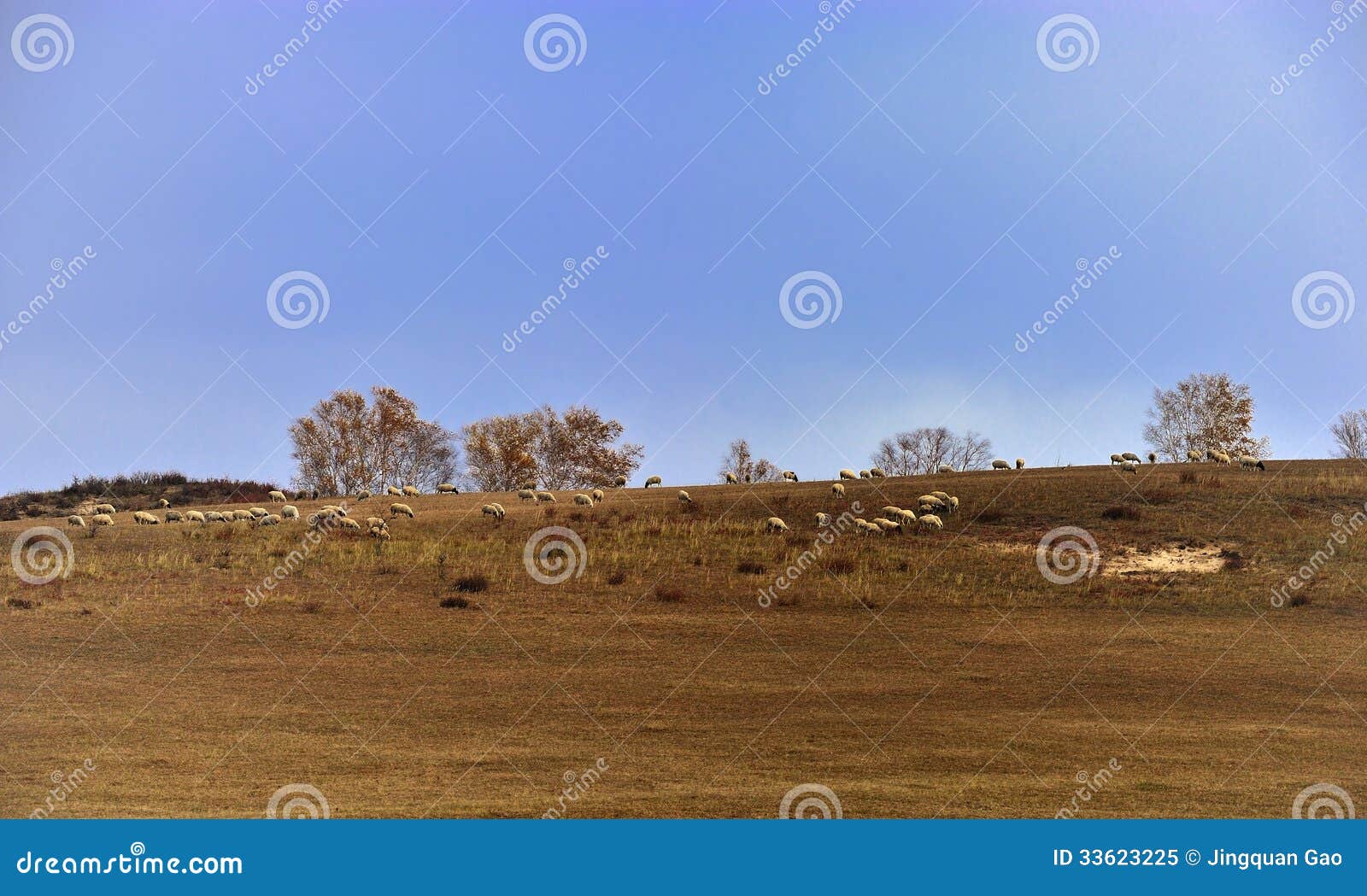 China Bashang Grassland Scenery Stock Image - Image of china, season ...