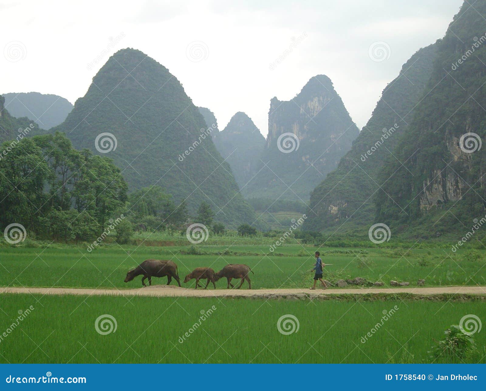 China country village stock photo. Image of countryside - 1758540