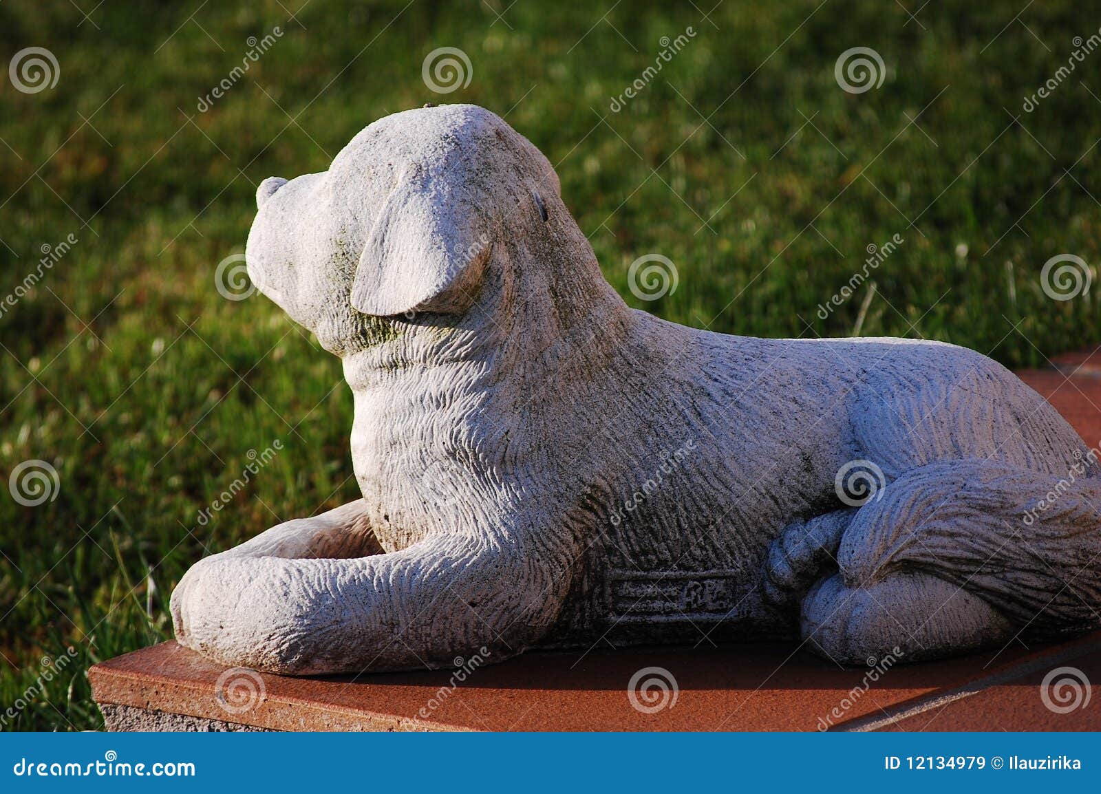 China Dog facing the sun stock image. Image of shadow - 12134979