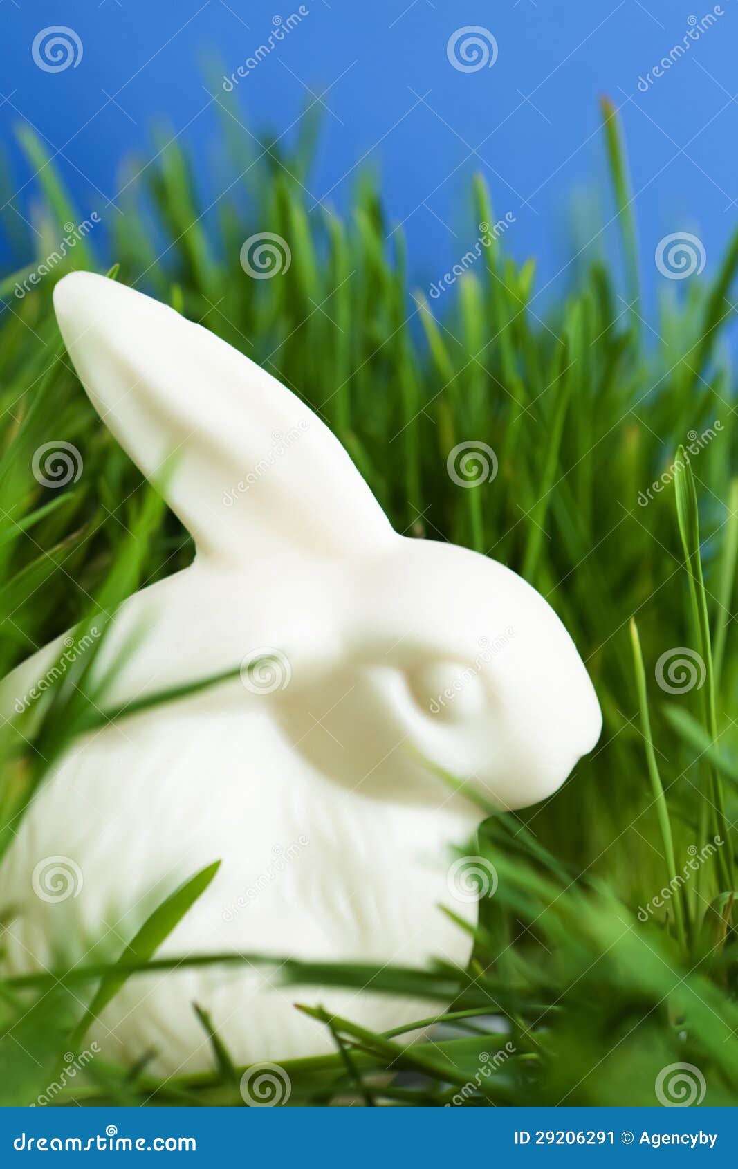 China Easter Bunny is in the Green Grass Stock Image - Image of bunny ...