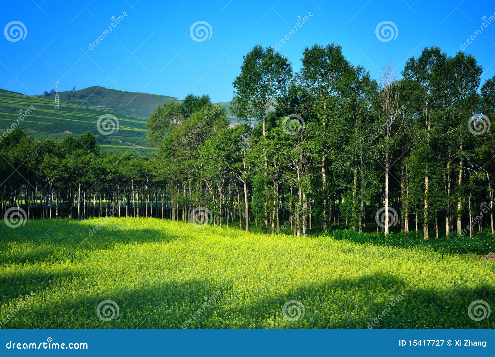 China Field and Nature Landscape Stock Image - Image of mountains ...