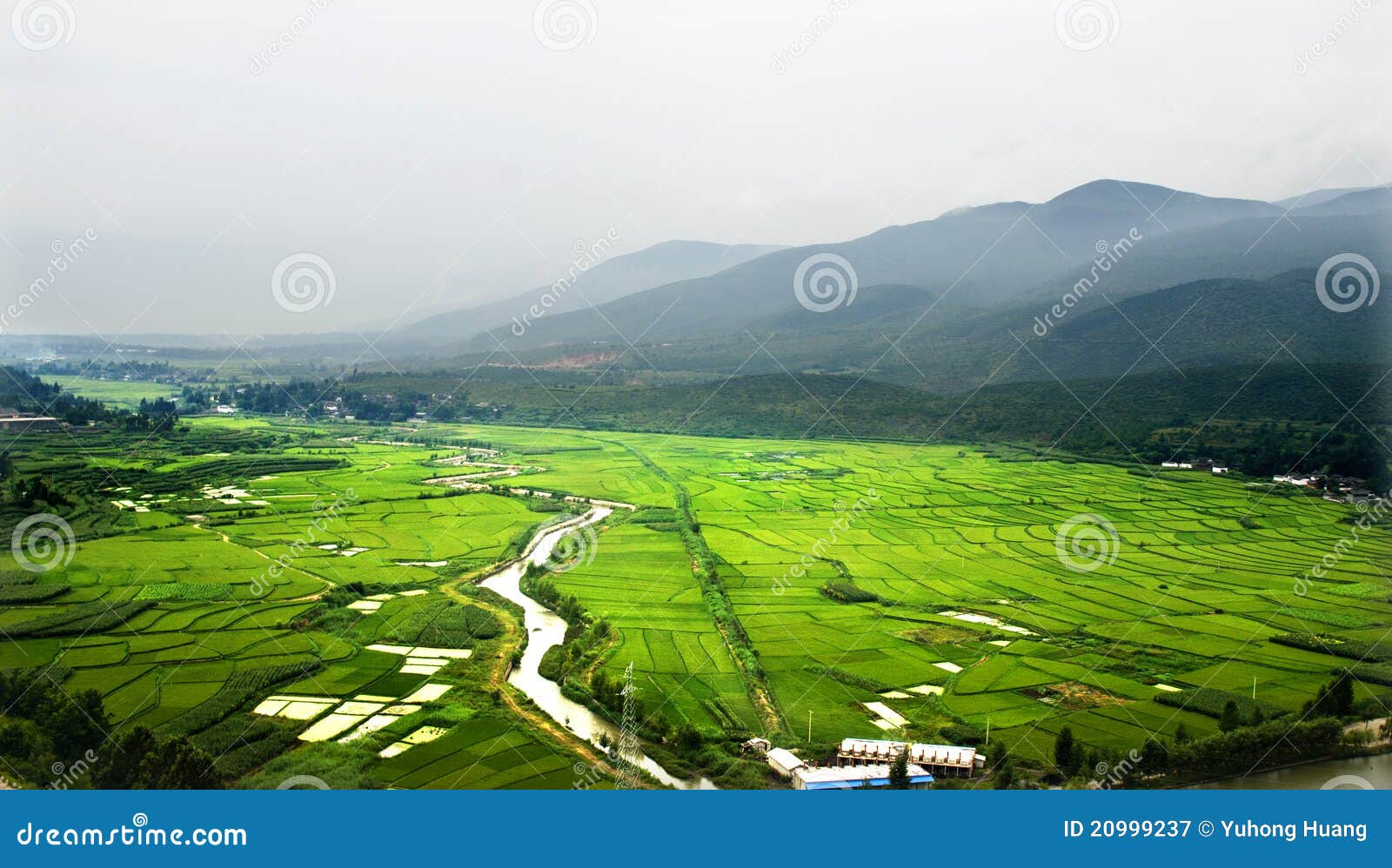 China field planting stock image. Image of natural, river - 20999237