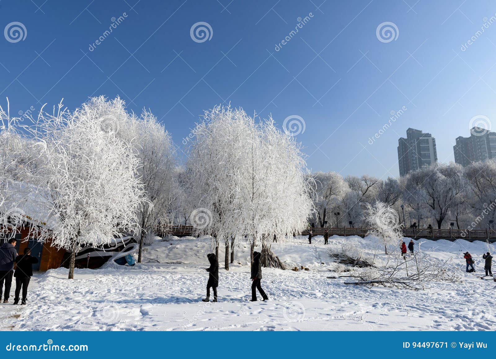 CHINA JILIN the Impression of Winter Stock Image - Image of area ...