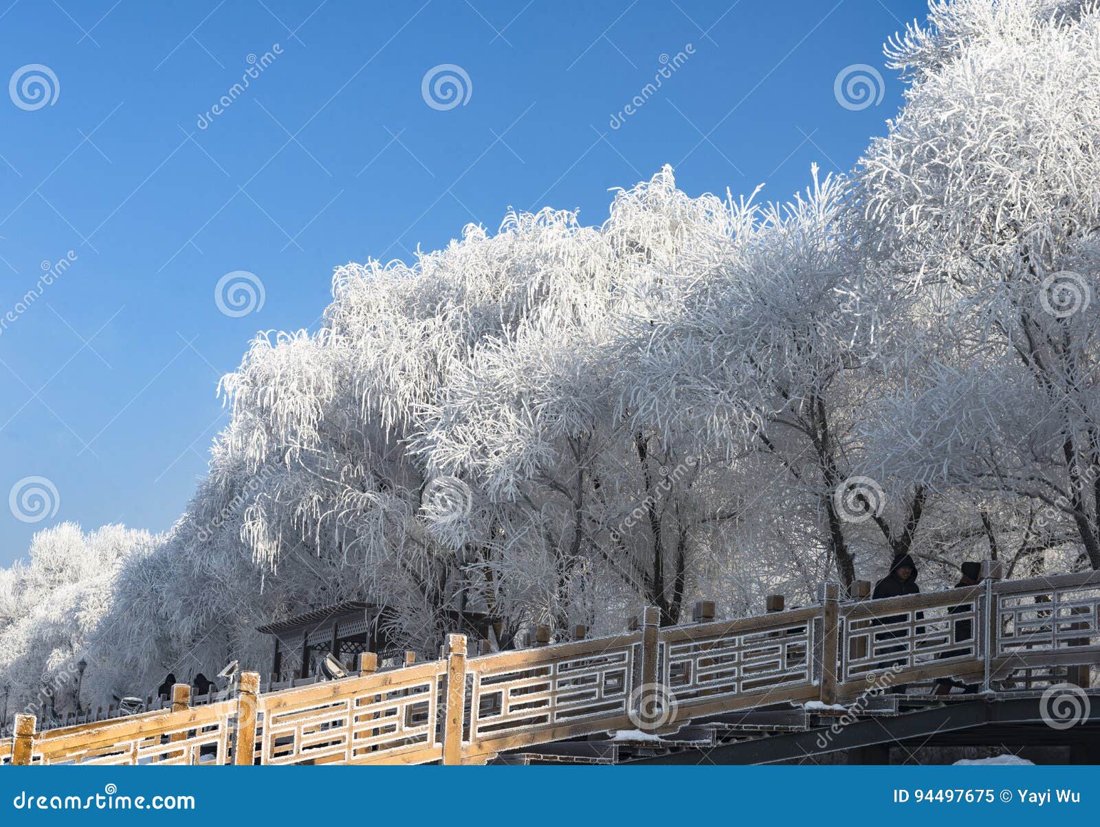 CHINA JILIN the Impression of Winter Stock Image - Image of fields ...