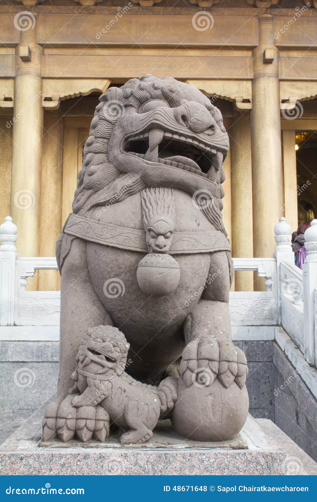 China Lion stock photo. Image of culture, forbidden, temple - 48671648