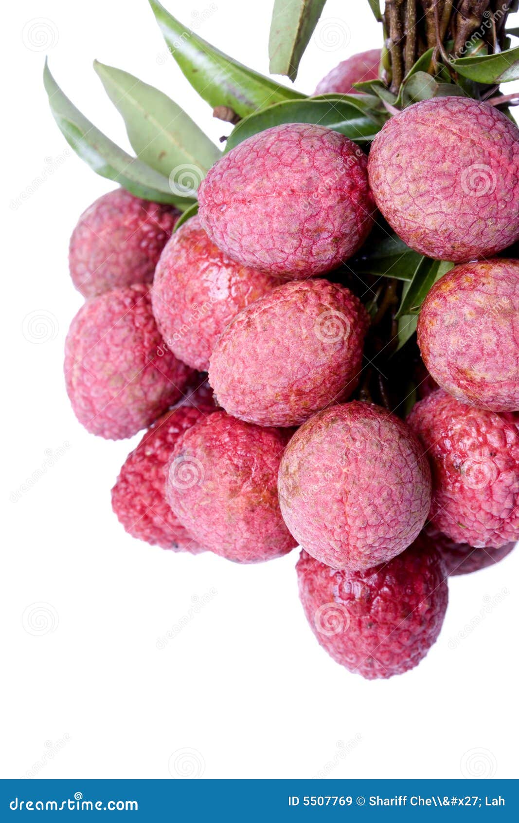 China Lychees stock image. Image of juicy, lichee, fresh - 5507769