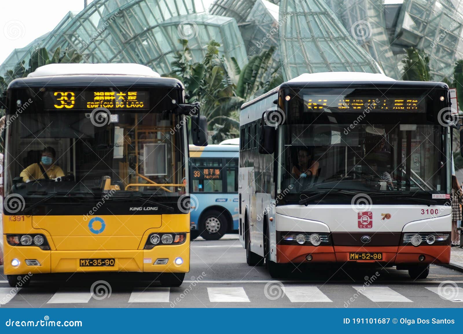 China, Macao, Two Buses are Waiting the Queue for Boarding Passengers ...