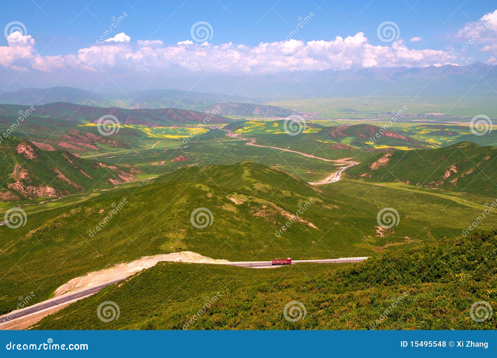 China Qinghai Flower Landscape Stock Photo - Image of mountains, beauty ...