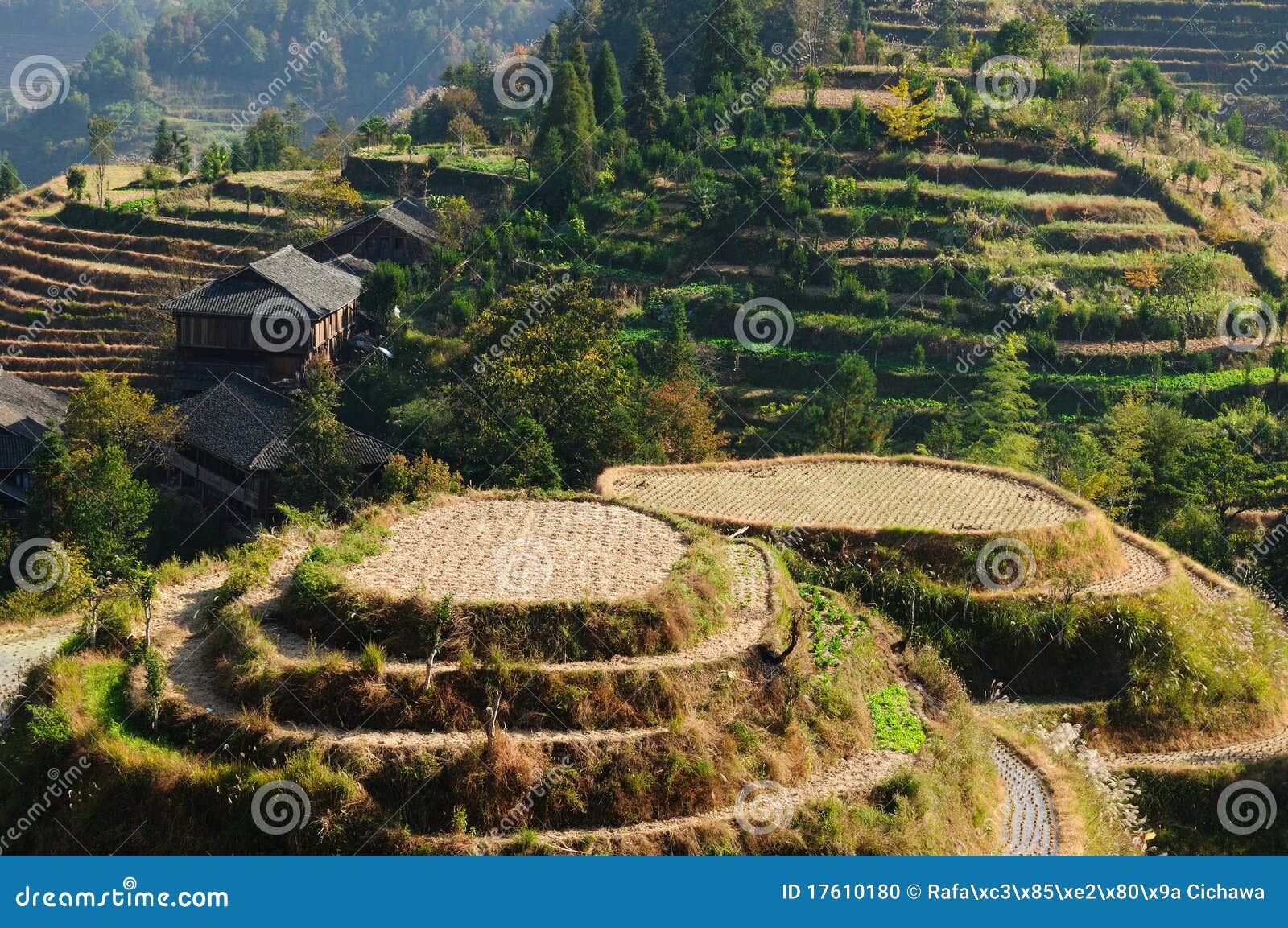 China - rice terraces stock photo. Image of pingan, paddy - 17610180