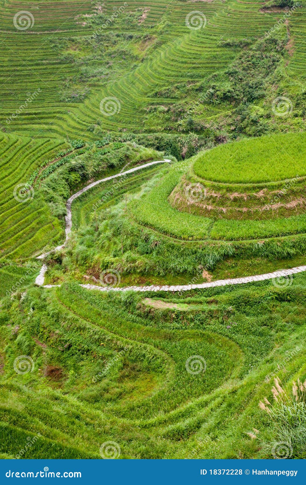 China rural landscape stock photo. Image of asia, land - 18372228