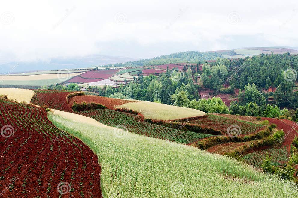 China rural landscape stock image. Image of plant, earth - 22014871