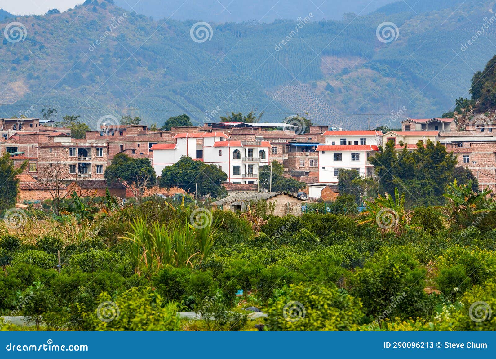 China S Rural Buildings and Green Forests Stock Image - Image of ...