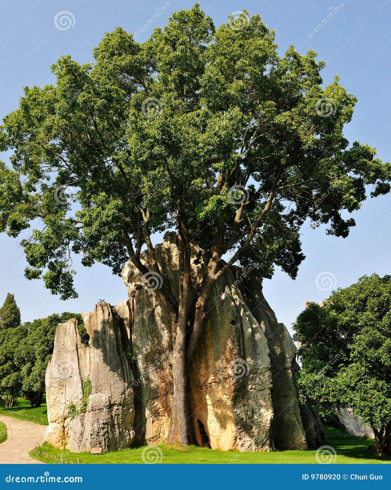 China s Stone Forest stock photo. Image of landscapes - 9780920