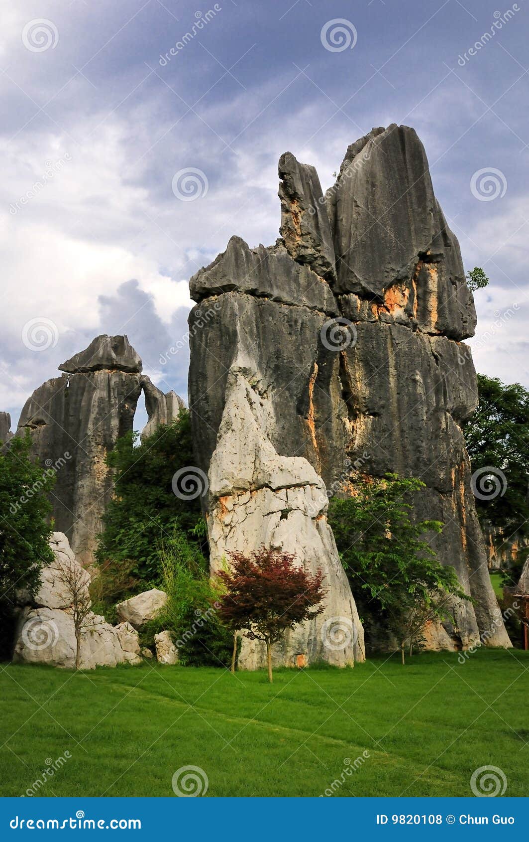China s Stone Forest stock photo. Image of landscapes - 9820108