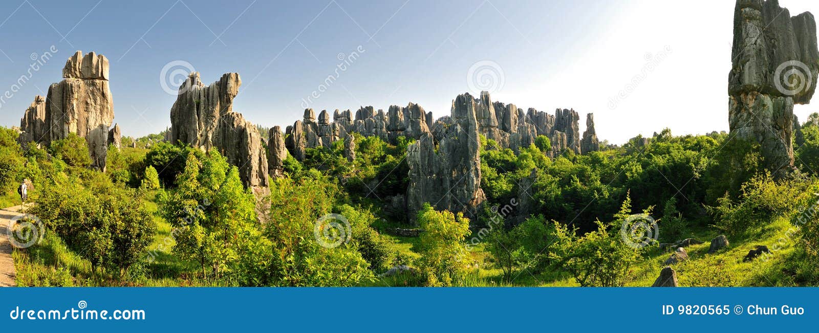 China s Stone Forest stock image. Image of asian, clouds - 9820565