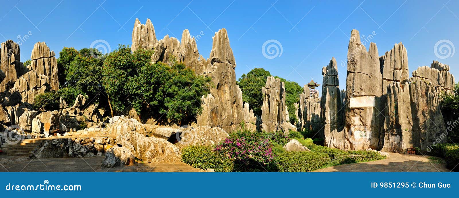 China s Stone Forest stock image. Image of karst, china - 9851295