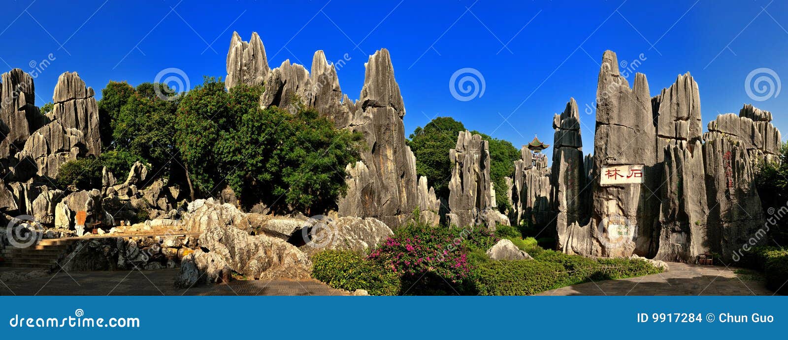 China s Stone Forest stock photo. Image of holiday, fear - 9917284