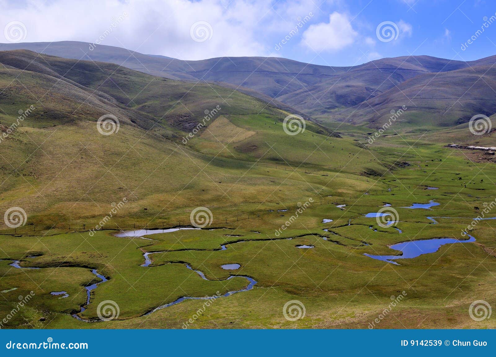 China S Yunnan Province, the Plateau Stock Image - Image of lawn, gold ...
