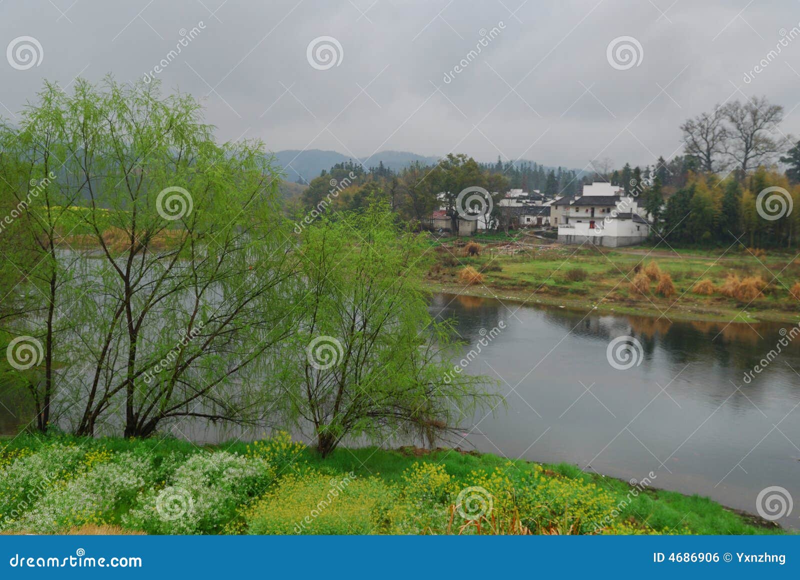 China Small Village in Spring Stock Photo - Image of radish, roof: 4686906