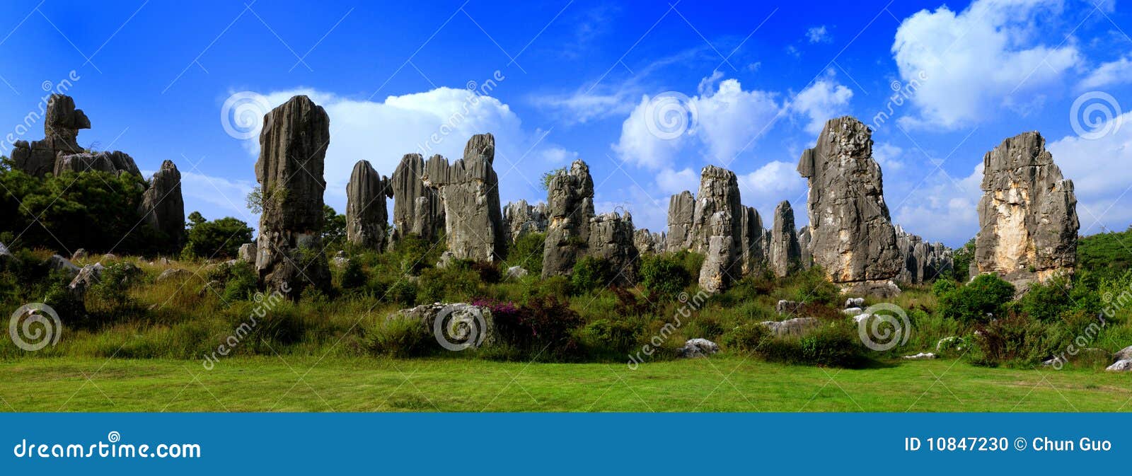 China Stone Forest stock photo. Image of forests, history - 10847230