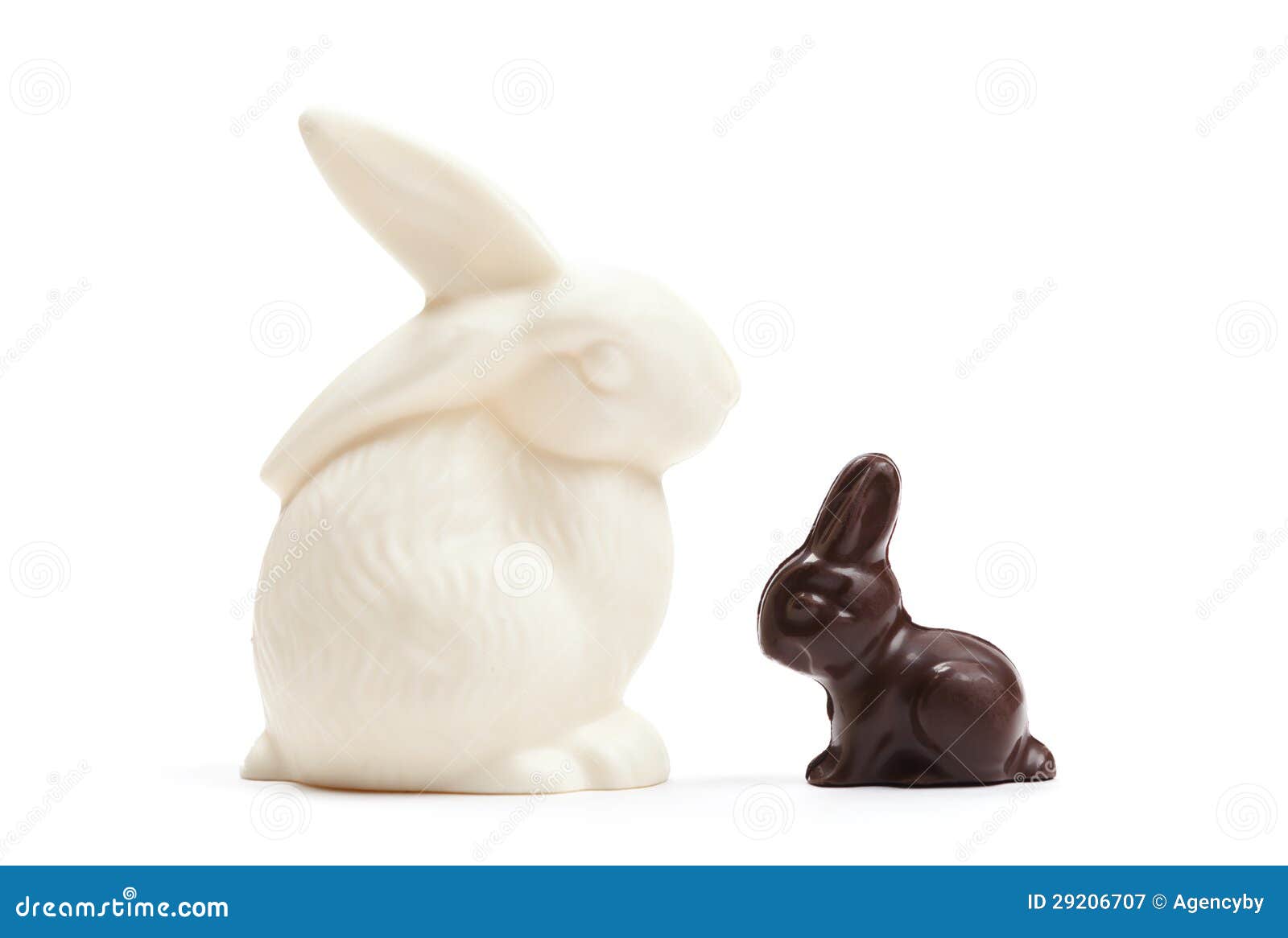 China White Rabbit with Small Chocolate One Stock Image - Image of ...