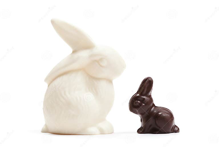 China White Rabbit with Small Chocolate One Stock Image - Image of ...