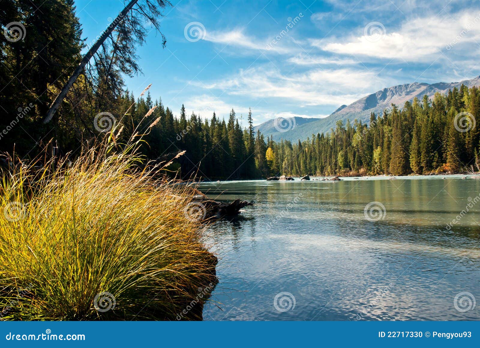 China Xinjiang Scenery, Kala Si Lake Stock Photo - Image of plant ...
