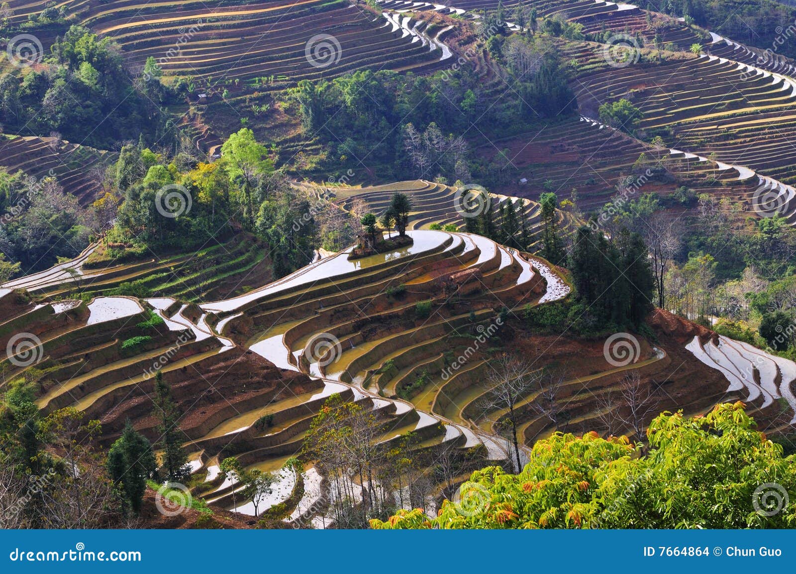 China Yunnan Hani Terrace stock photo. Image of hill, nature - 7664864