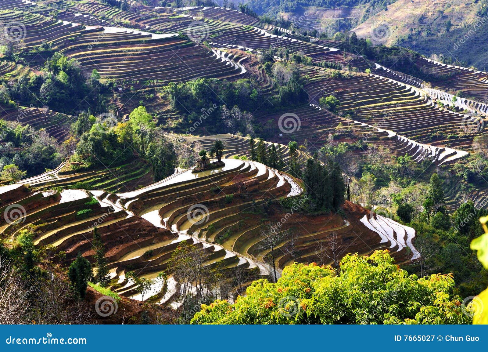 China Yunnan Hani Terrace stock image. Image of geography - 7665027