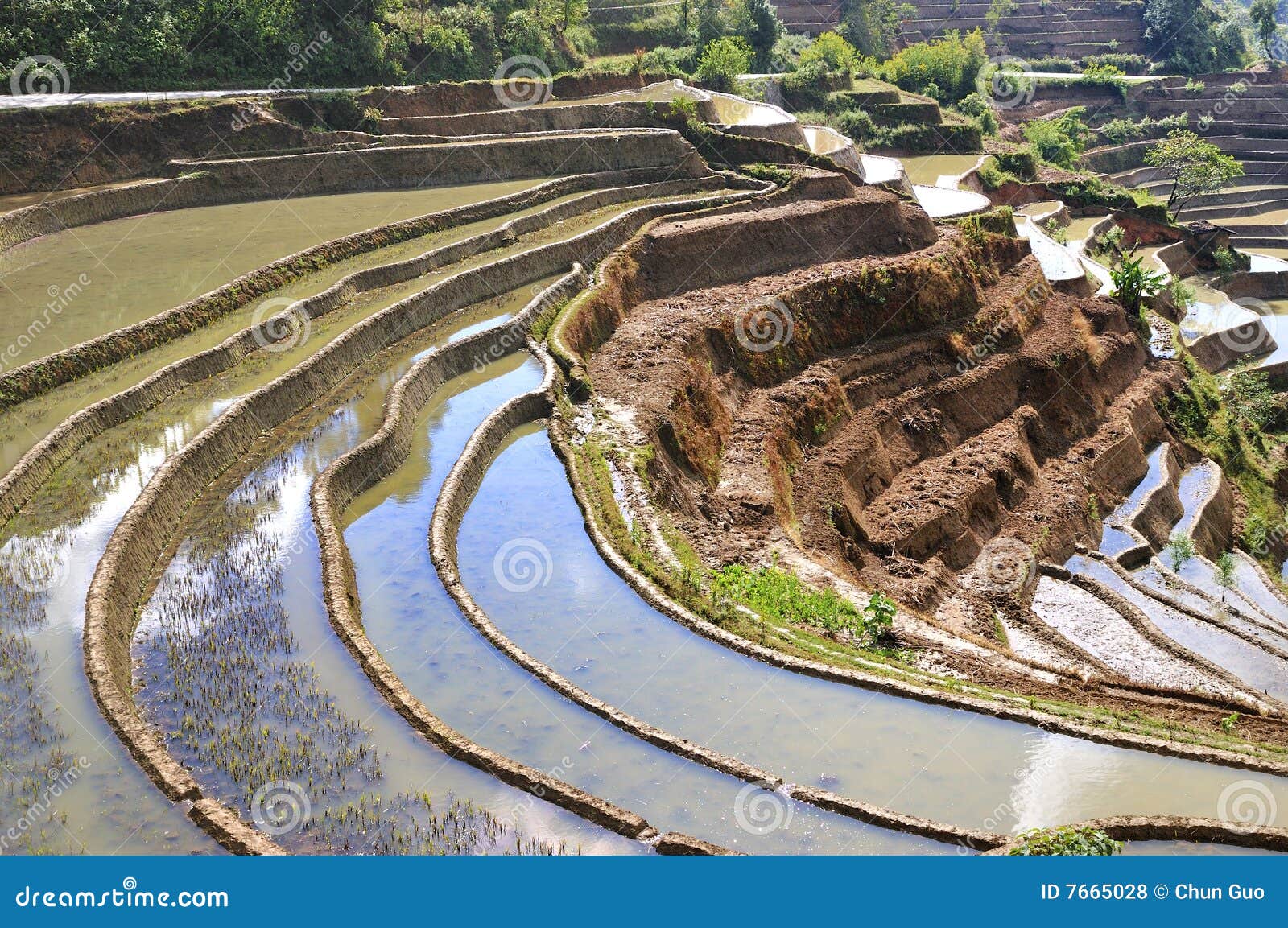 China Yunnan Hani Terrace stock photo. Image of natural - 7665028