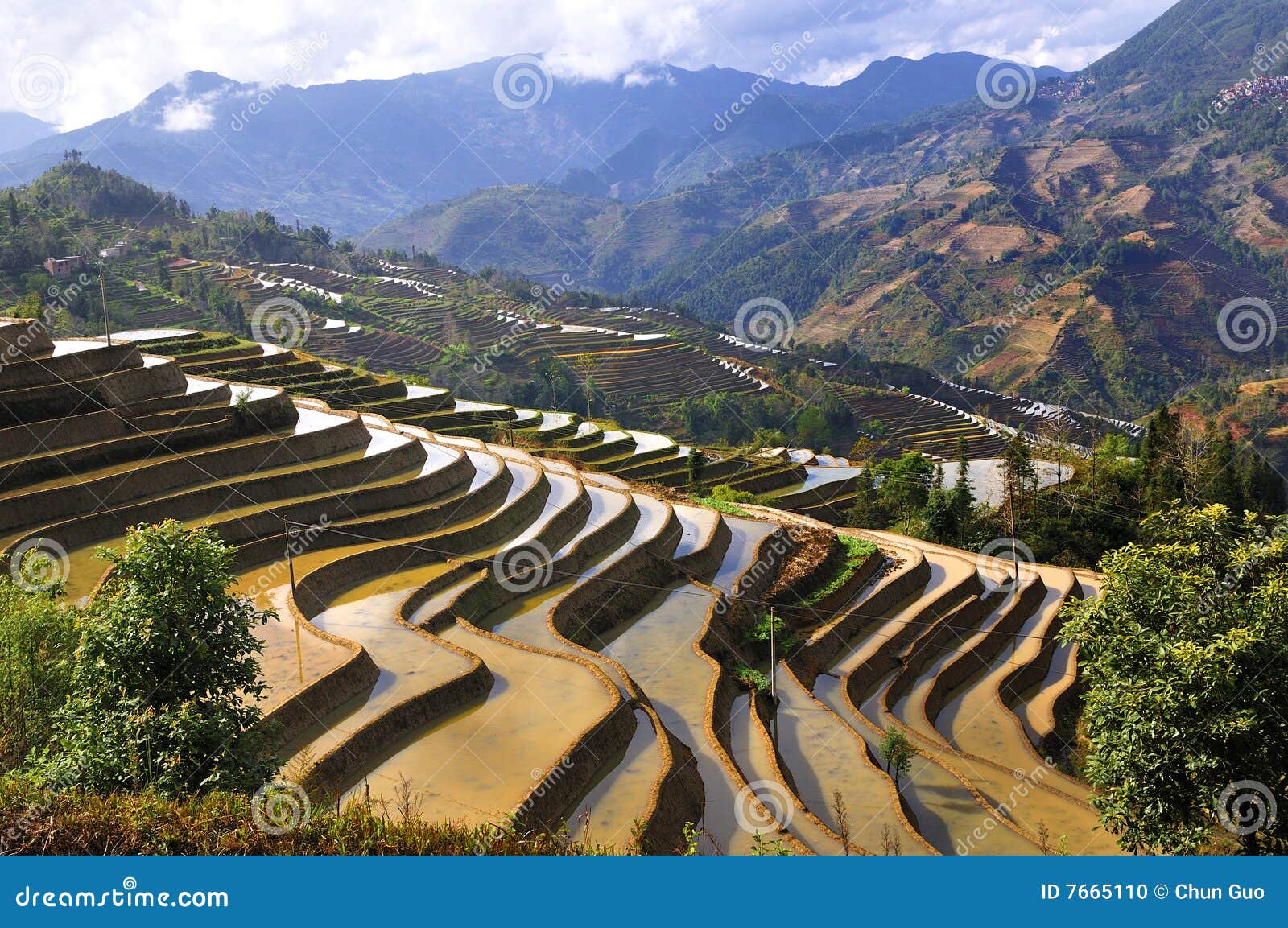 China Yunnan Hani Terrace stock photo. Image of hani, natural - 7665110