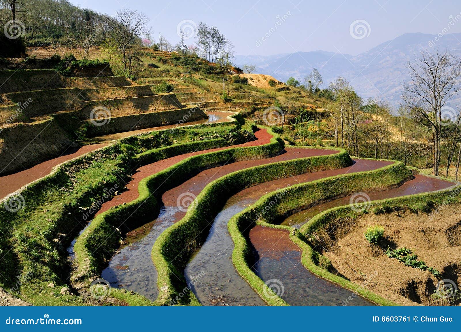 China Yunnan Hani Terrace View Stock Image - Image of natural, horse ...