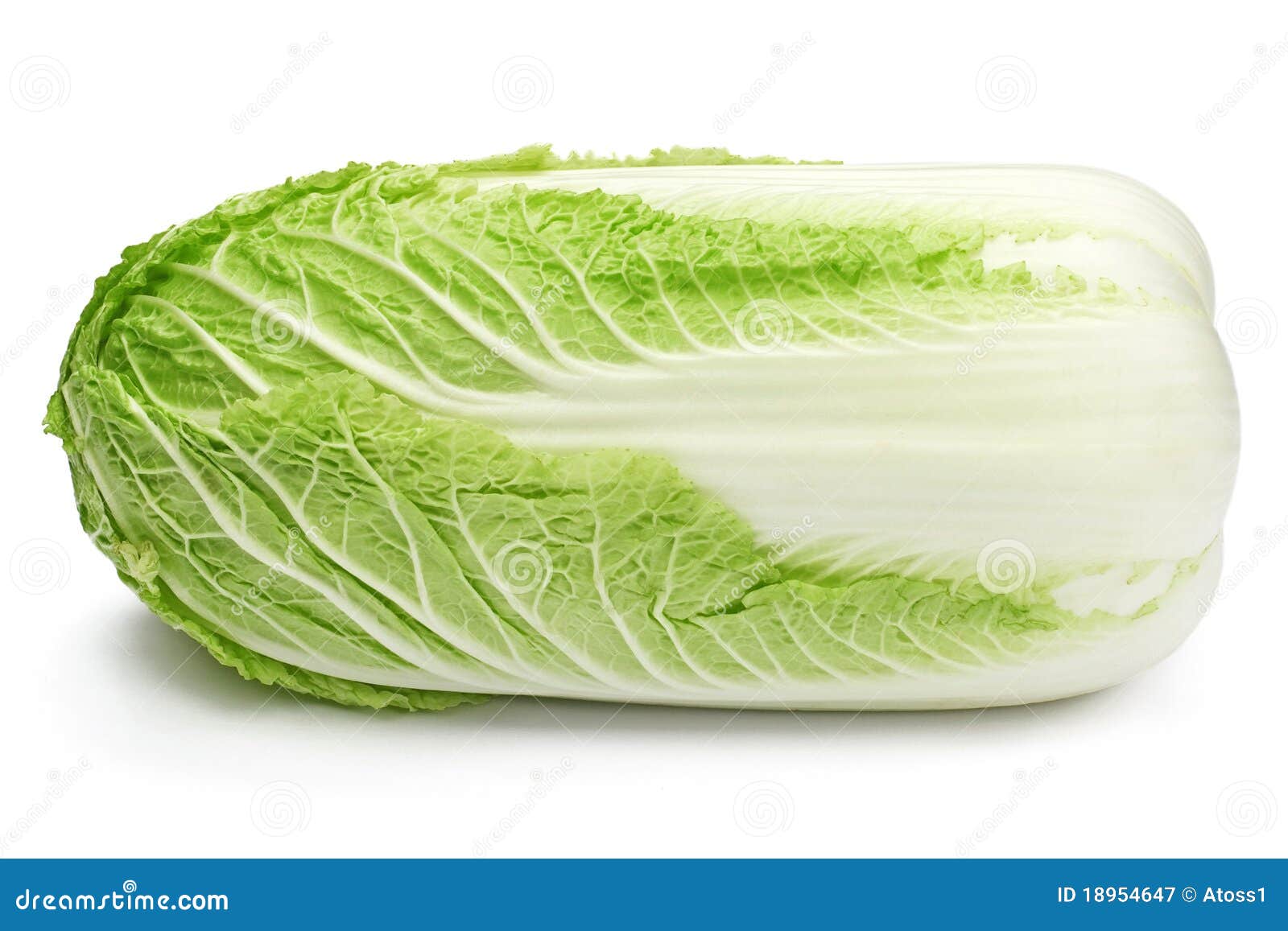 Chinakohl stockbild. Bild von studio, hintergrund, frisch - 18954647