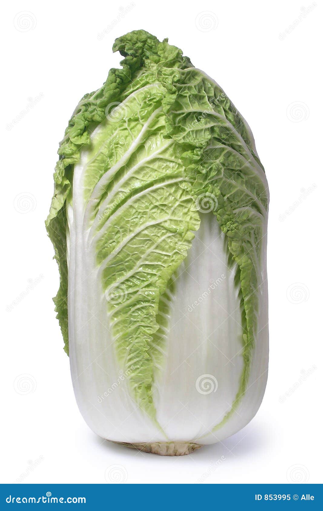 Chinakohl stockbild. Bild von kopf, nahrung, kohl, stumpf - 853995