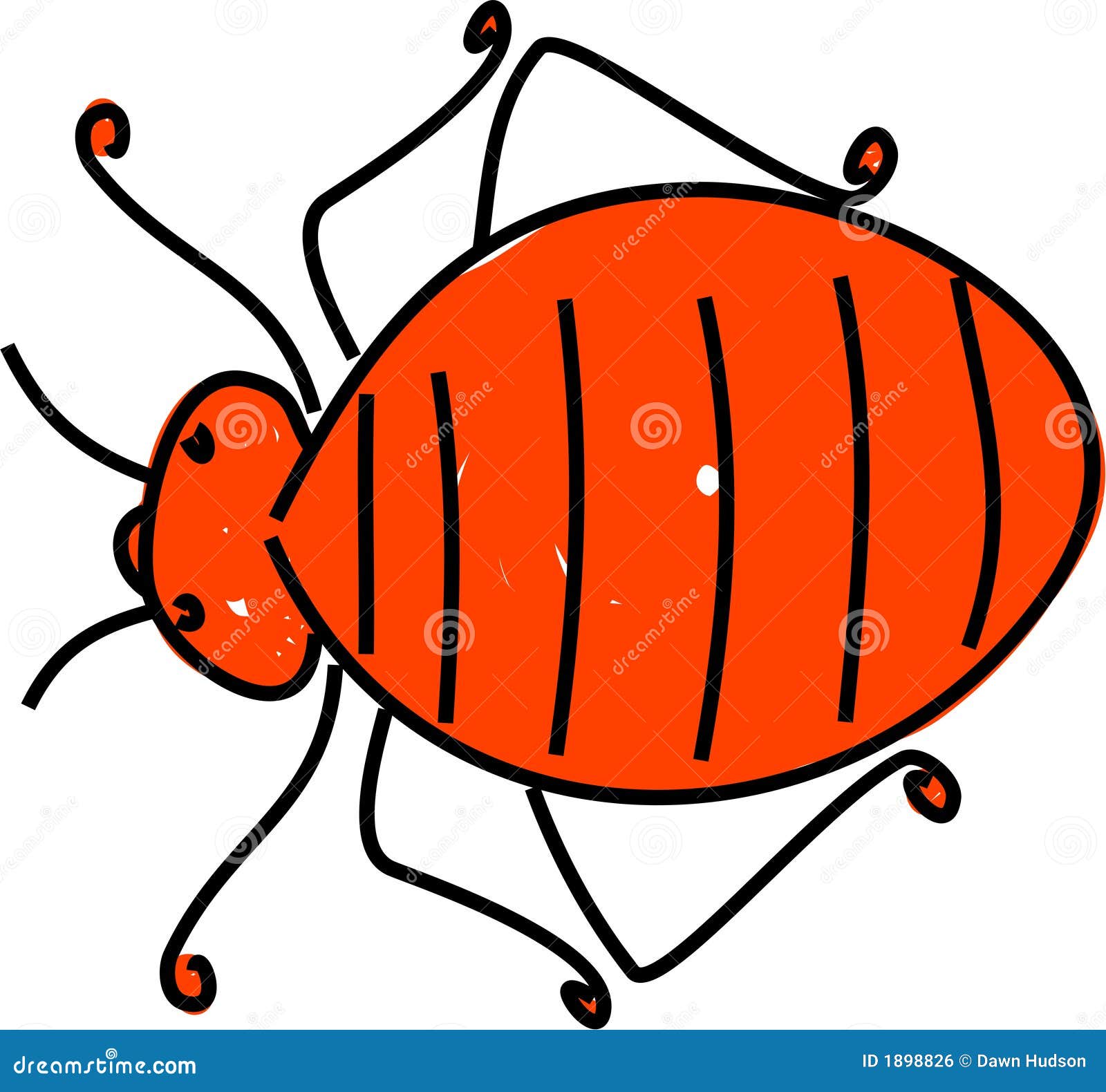 Chinche stock de ilustración. Ilustración de historieta - 1898826