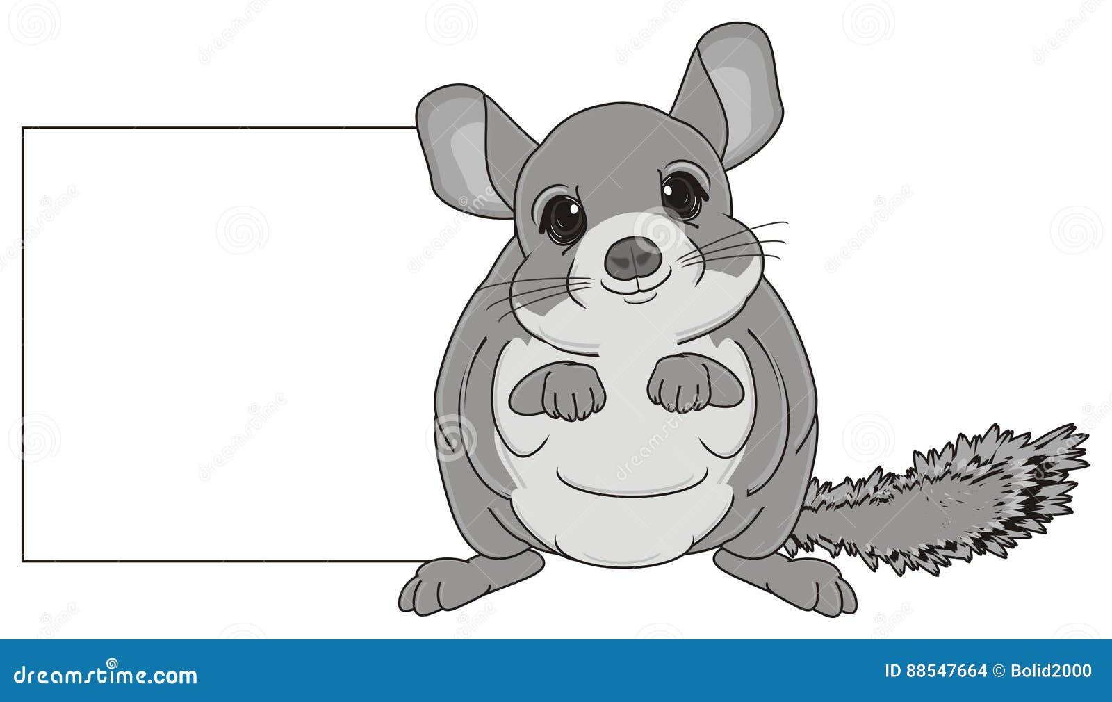 Chinchilla and clean paper stock illustration. Illustration of poster ...