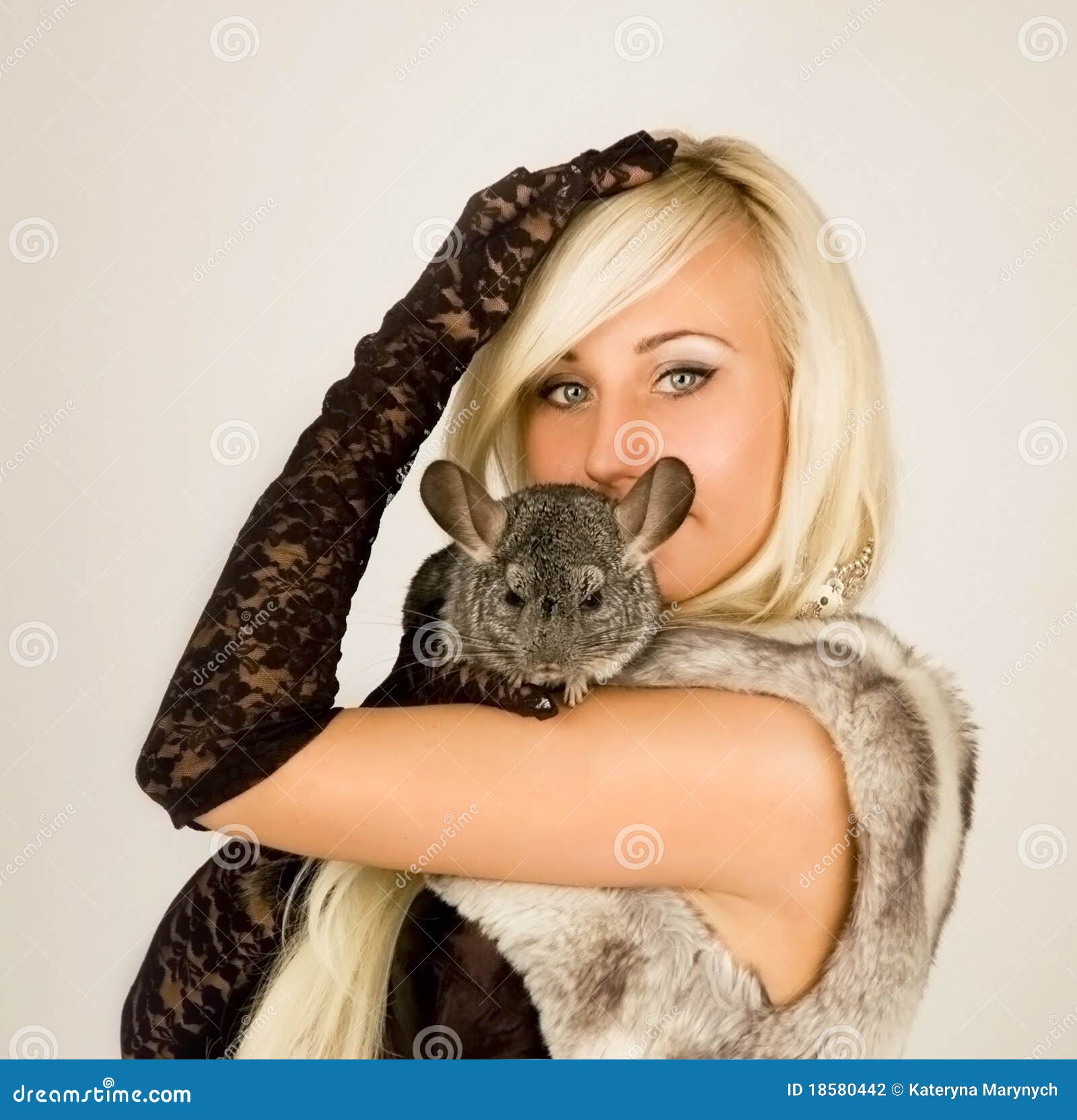 Chinchillas and a girl stock photo. Image of rodent, cute - 18580442