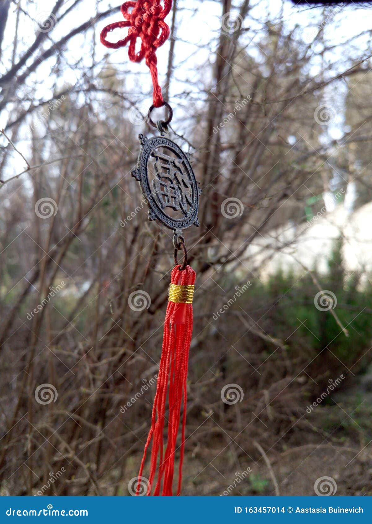 Chinese Amulet Royalty-Free Stock Photo | CartoonDealer.com #56319045
