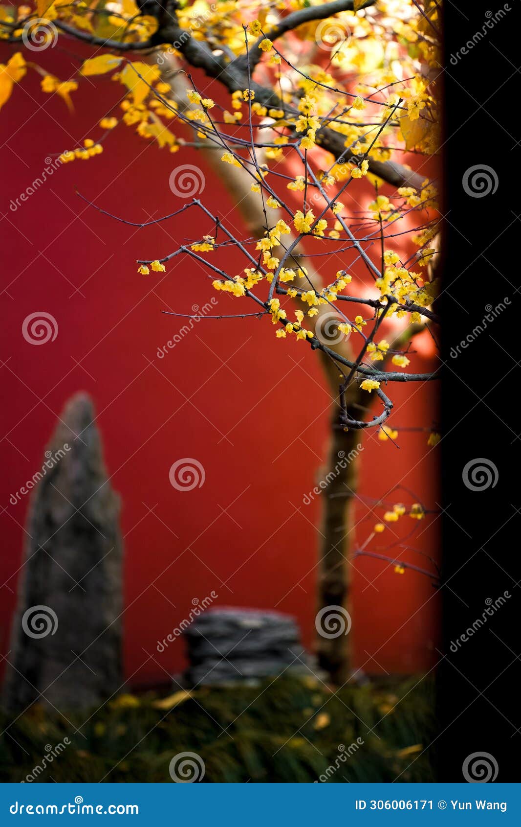 Chinese Ancient Architecture and Winter Plum Blossoms Stock Image ...