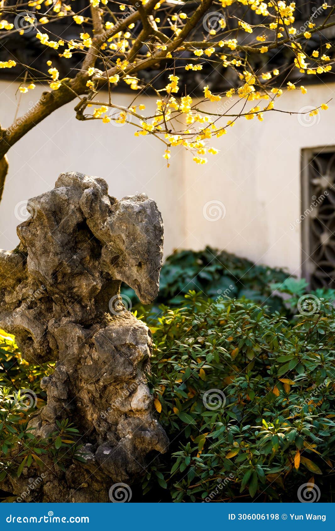 Chinese Ancient Architecture and Winter Plum Blossoms Stock Photo ...