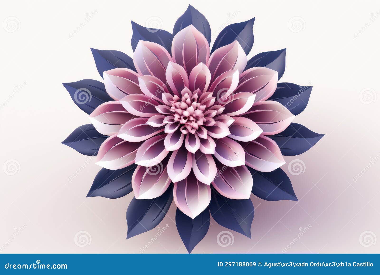 Chinese Aster Flower Illustration Logo. Stock Image - Image of nature ...