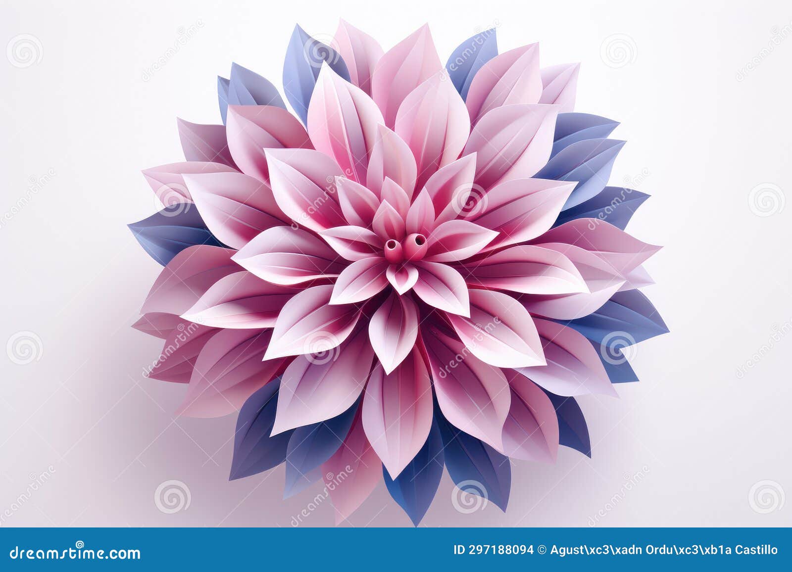 Chinese Aster Flower Illustration Logo. Stock Photo - Image of head ...