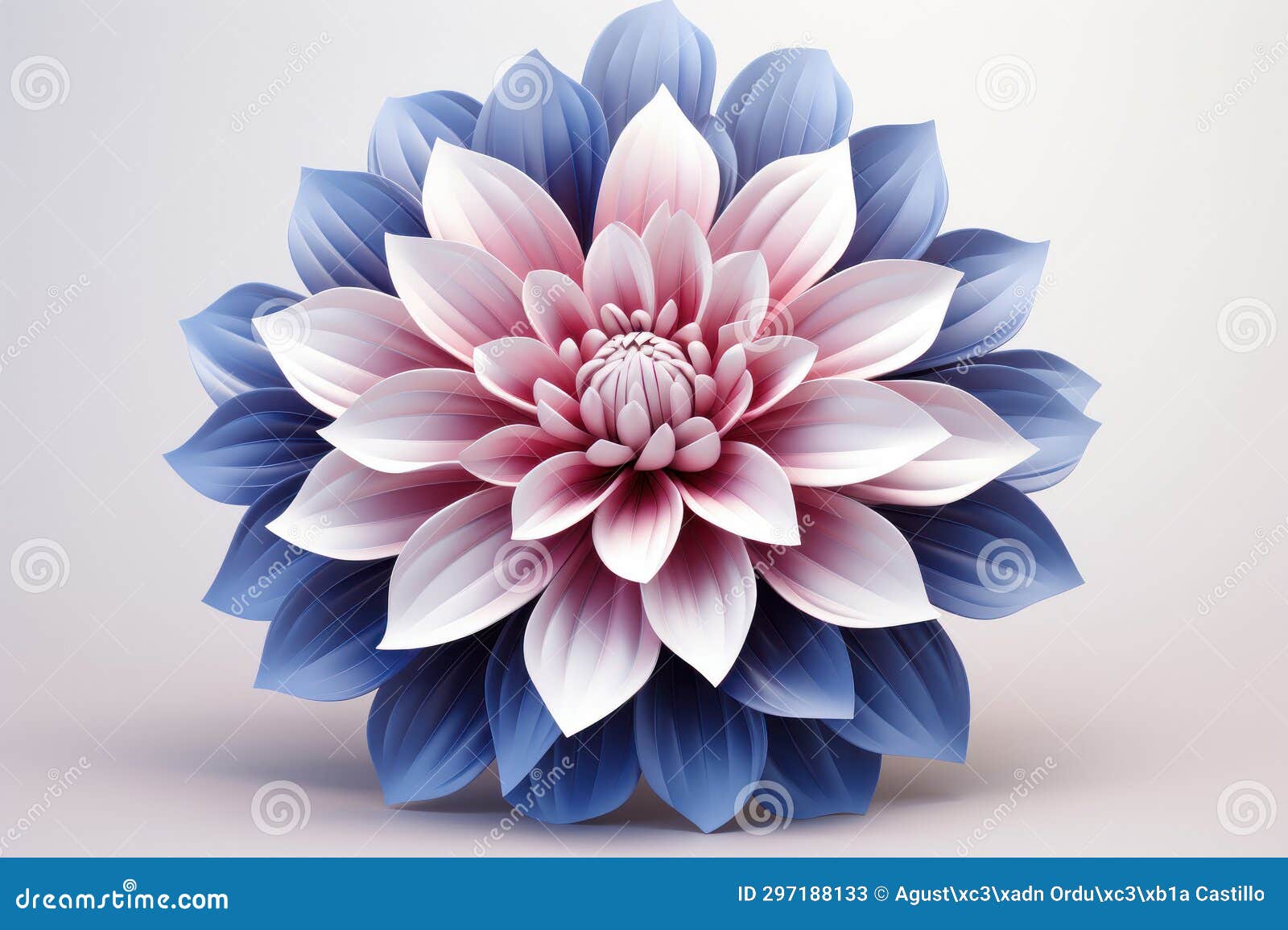 Chinese Aster Flower Illustration Logo. Stock Image - Image of orange ...