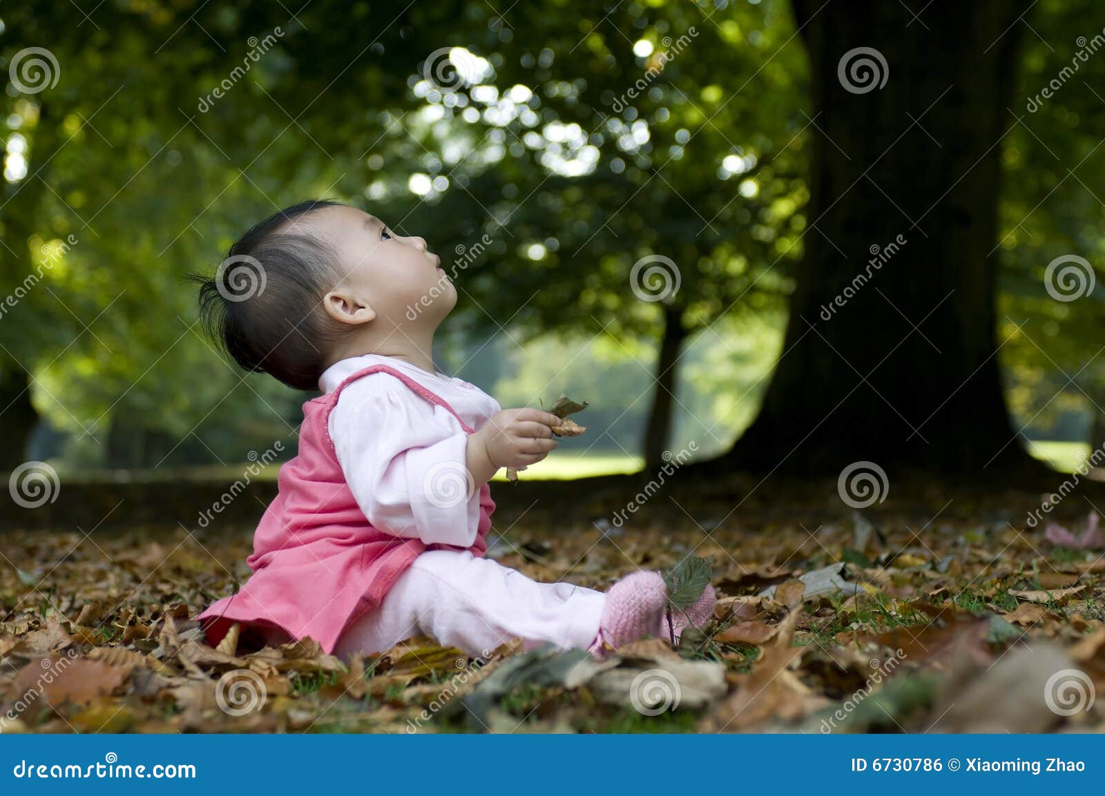 A Chinese baby under tree stock photo. Image of oneself - 6730786